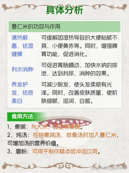 薏米怎么吃最祛湿_薏米功效与作用吃法大全-第3张图片-山城妙识