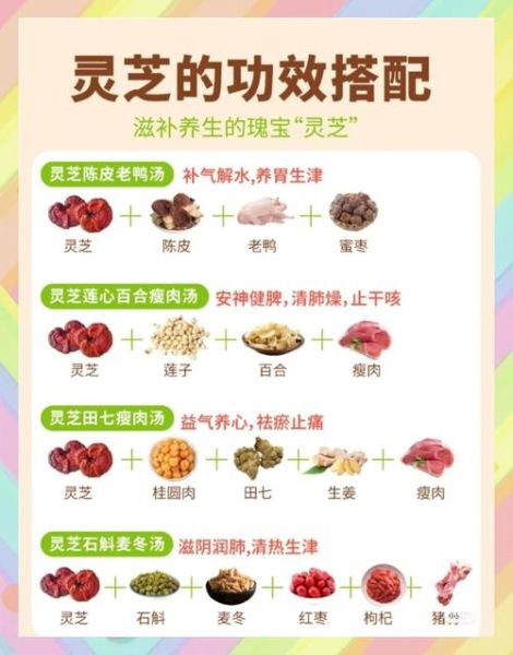 灵芝煲汤的正确做法_灵芝和什么一起煲汤好-第1张图片-山城妙识