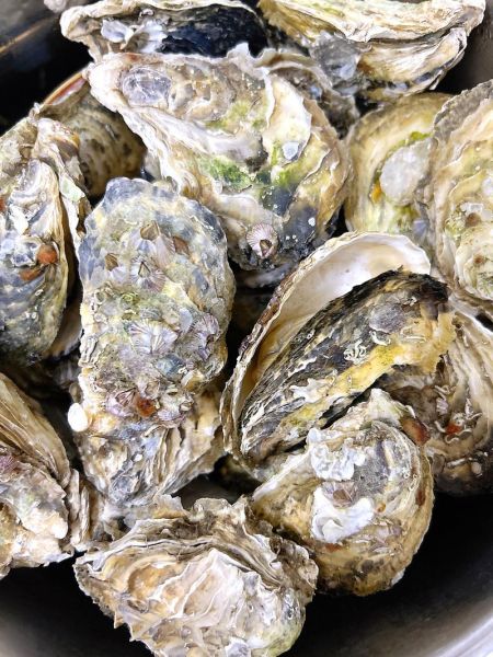 生蚝一次吃几个最好_生蚝一天吃多少合适-第3张图片-山城妙识