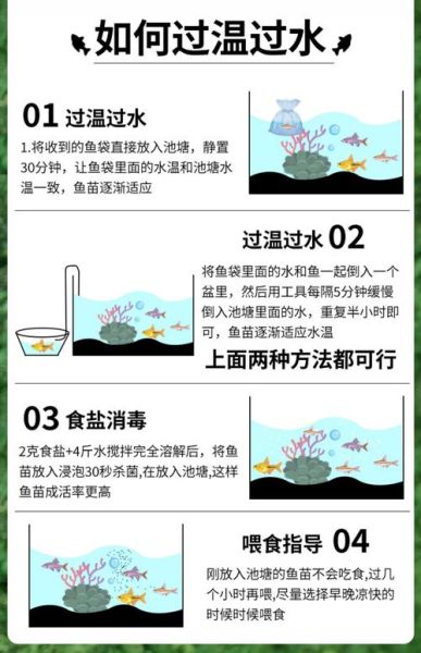 鱼苗怎么养_鱼苗吃什么长得快-第2张图片-山城妙识 鱼苗怎么养_鱼苗吃什么长得快-第2张图片-山城妙识