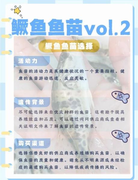 鱼苗怎么养_鱼苗吃什么长得快-第3张图片-山城妙识 鱼苗怎么养_鱼苗吃什么长得快-第3张图片-山城妙识