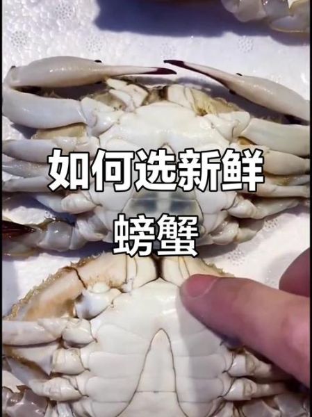 当天死的螃蟹可以吃吗_如何判断新鲜度-第3张图片-山城妙识