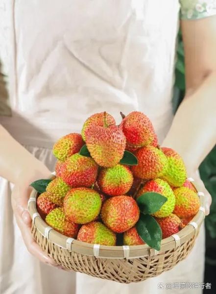 怀孕前三个月能吃荔枝吗_孕妇吃荔枝注意事项-第3张图片-山城妙识 怀孕前三个月能吃荔枝吗_孕妇吃荔枝注意事项-第3张图片-山城妙识