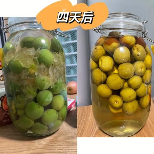 青梅酒怎么泡_青梅酒用什么酒好-第3张图片-山城妙识