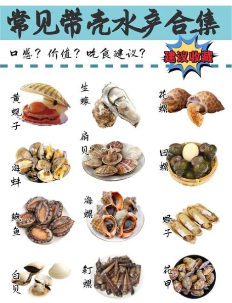 海鲜种类大全图片名称有哪些_如何快速识别常见海鲜-第1张图片-山城妙识