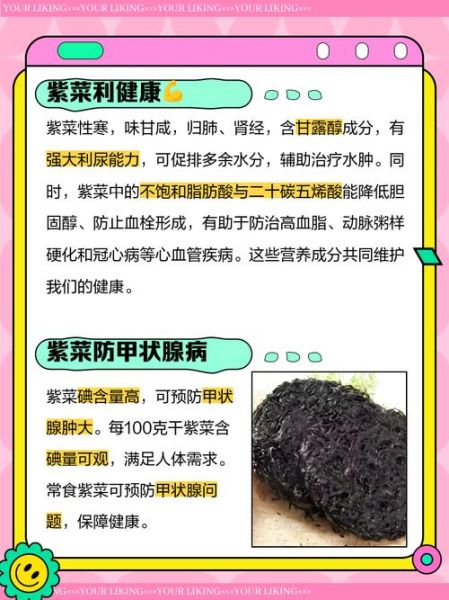 紫菜的功效与作用及禁忌_什么人不能吃紫菜-第2张图片-山城妙识