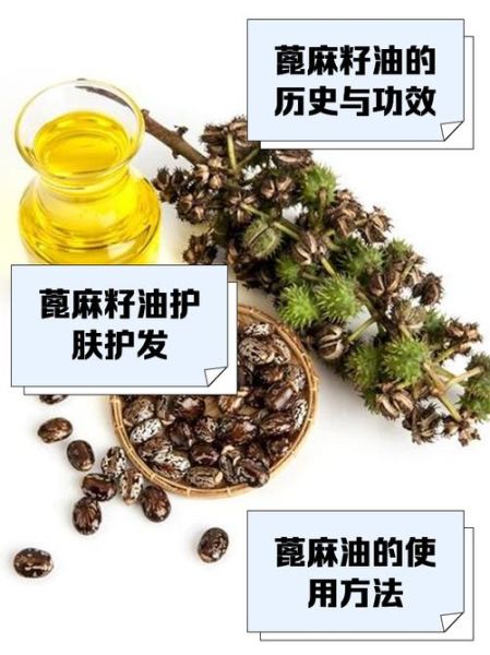 蓖麻油的功效与作用_蓖麻油能生发吗-第1张图片-山城妙识