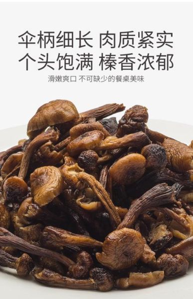 榛蘑菇的营养价值_榛蘑菇的功效与作用-第3张图片-山城妙识