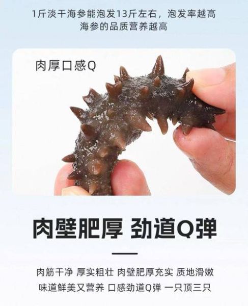 海参品牌排行榜_哪个牌子海参好-第2张图片-山城妙识