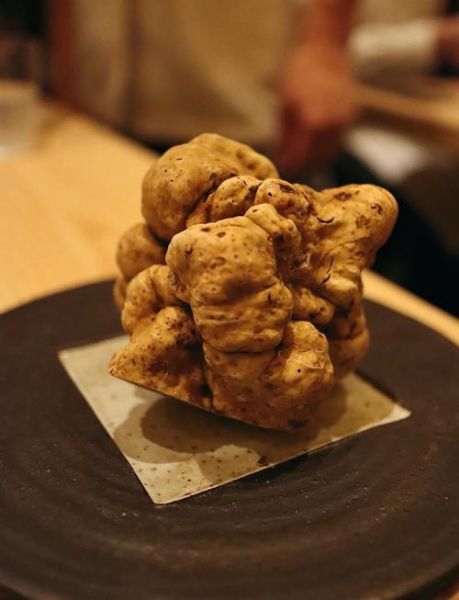 白松露大餐怎么做_白松露价格为什么这么贵-第3张图片-山城妙识