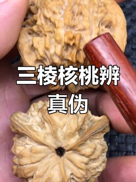 正宗野生核桃图片_如何辨别真假-第2张图片-山城妙识