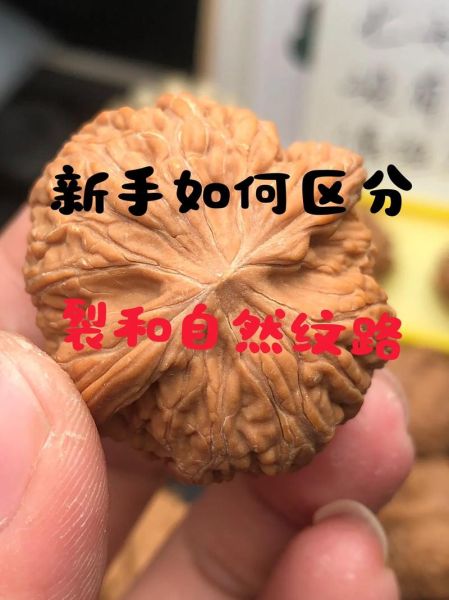 正宗野生核桃图片_如何辨别真假-第3张图片-山城妙识