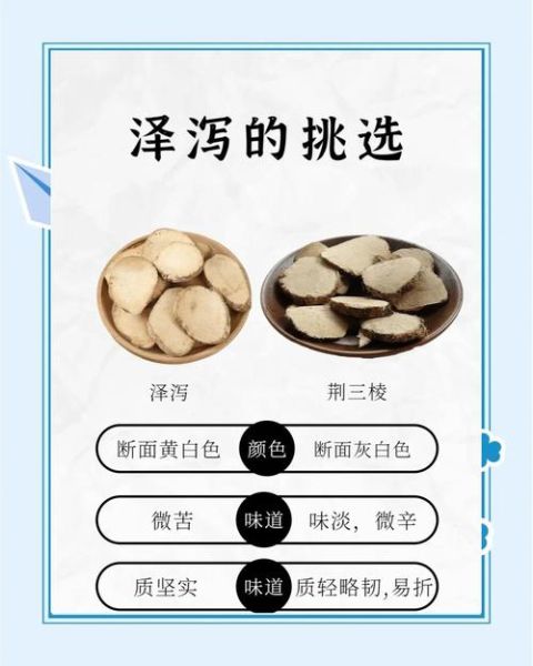 泽泻的功效与作用_泽泻的正确吃法-第2张图片-山城妙识