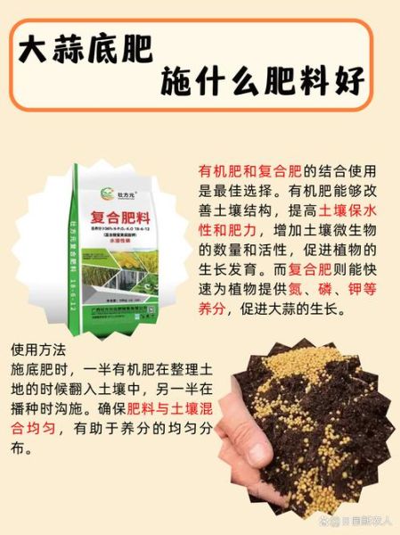 大蒜种植用什么肥料好_大蒜底肥和追肥怎么配-第2张图片-山城妙识 大蒜种植用什么肥料好_大蒜底肥和追肥怎么配-第2张图片-山城妙识