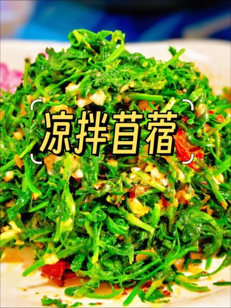 苜蓿怎么吃_苜蓿芽怎么凉拌好吃-第1张图片-山城妙识