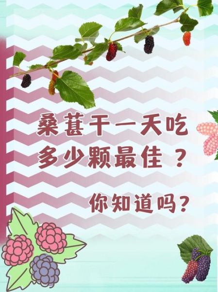 桑葚干的功效与作用及食用方法_桑葚干一天吃多少粒最好-第3张图片-山城妙识