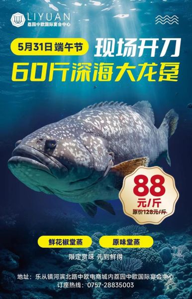 龙趸鱼多少钱一斤2021_龙趸鱼价格走势-第2张图片-山城妙识