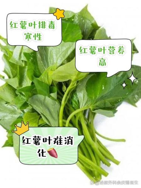 红薯叶不能和什么一起吃_红薯叶相克食物有哪些-第1张图片-山城妙识