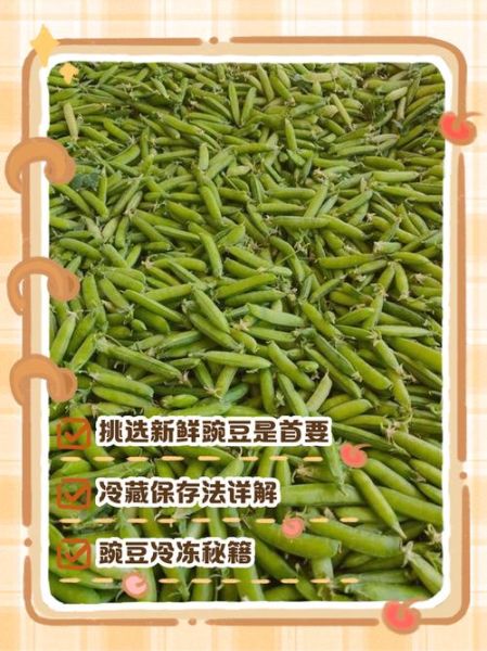 豌豆荚怎么下载到桌面_豌豆荚电脑版安装教程-第3张图片-山城妙识