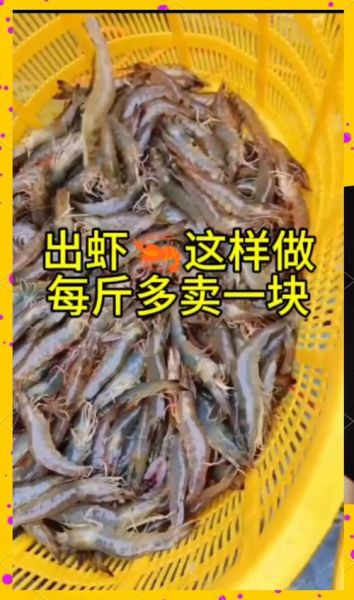 养虾的利润与成本_每亩能赚多少钱-第2张图片-山城妙识