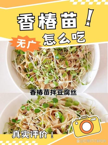 香椿芽怎么做好吃_香椿芽的做法大全-第3张图片-山城妙识 香椿芽怎么做好吃_香椿芽的做法大全-第3张图片-山城妙识