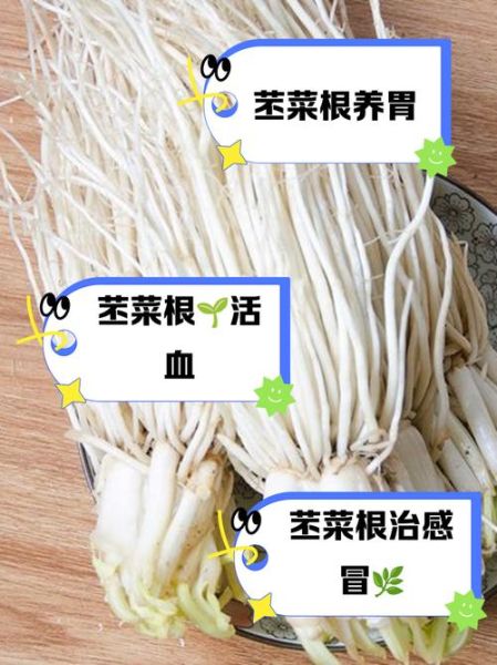 通菜根的功效与作用_通菜根怎么吃最好-第1张图片-山城妙识 通菜根的功效与作用_通菜根怎么吃最好-第1张图片-山城妙识