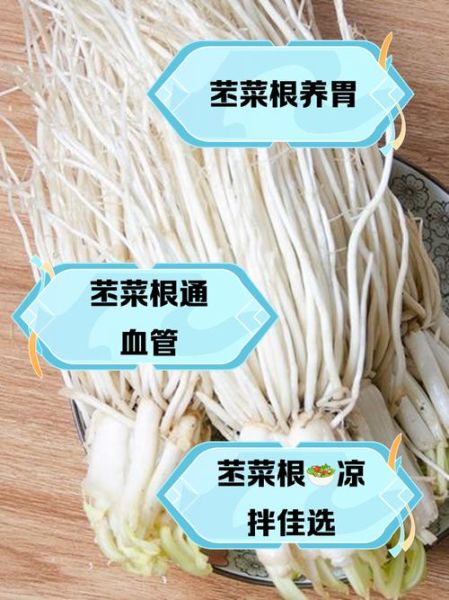 通菜根的功效与作用_通菜根怎么吃最好-第3张图片-山城妙识 通菜根的功效与作用_通菜根怎么吃最好-第3张图片-山城妙识