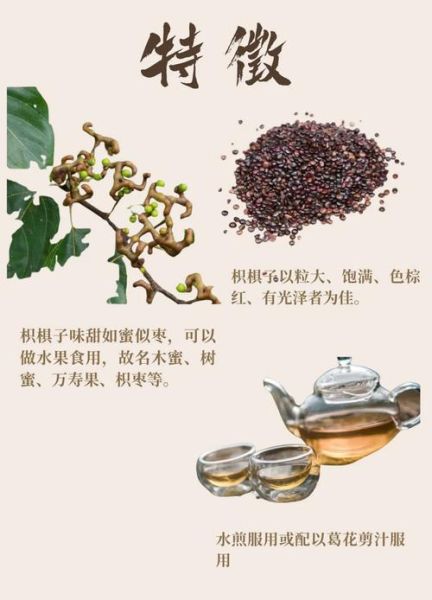 枳椇子功效与作用_枳椇子怎么吃效果最好-第2张图片-山城妙识