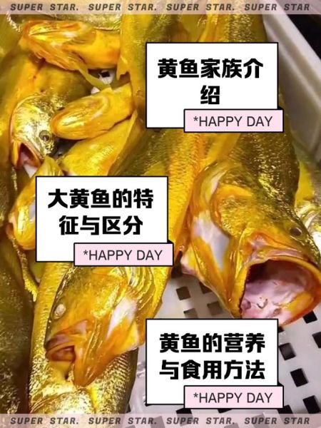小黄花鱼是海鱼吗_小黄花鱼淡水还是海水-第1张图片-山城妙识
