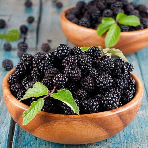 黑莓图片怎么拍_黑莓图片高清壁纸哪里下载-第1张图片-山城妙识