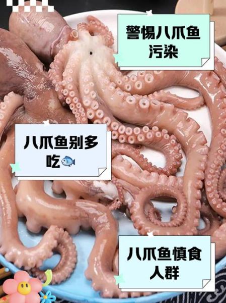 八爪鱼怎么清洗内脏_八爪鱼内脏能吃吗-第2张图片-山城妙识