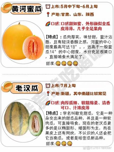 甜瓜图片大全大图_甜瓜品种怎么区分-第1张图片-山城妙识