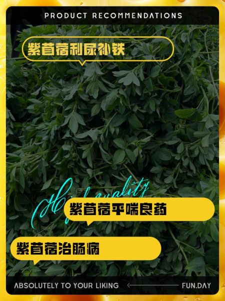 紫苜蓿的功效与作用_紫苜蓿怎么吃效果最好-第2张图片-山城妙识