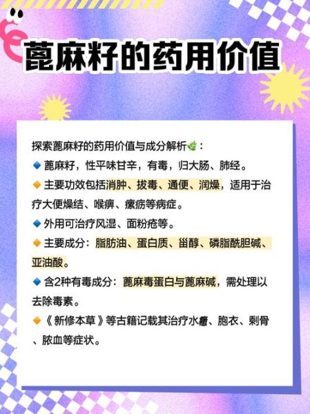 蓖麻子多少钱一斤_蓖麻子价格影响因素-第1张图片-山城妙识