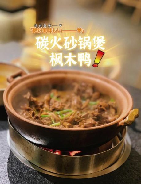 红烧鸭子用什么锅最好_家常做法选锅技巧-第1张图片-山城妙识