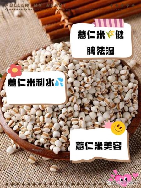 薏仁米可以和大米一起煮吗_薏仁米和大米一起煮的功效-第1张图片-山城妙识