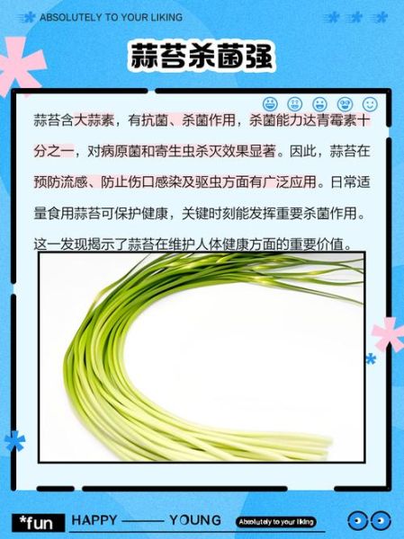 女人吃蒜苔的好处有哪些_蒜苔对女性的功效与作用-第3张图片-山城妙识 女人吃蒜苔的好处有哪些_蒜苔对女性的功效与作用-第3张图片-山城妙识