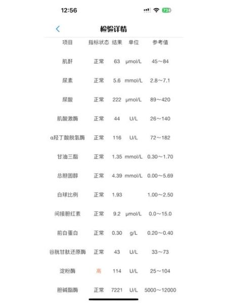 淀粉酶正常值范围是多少_血清淀粉酶偏高怎么办-第2张图片-山城妙识