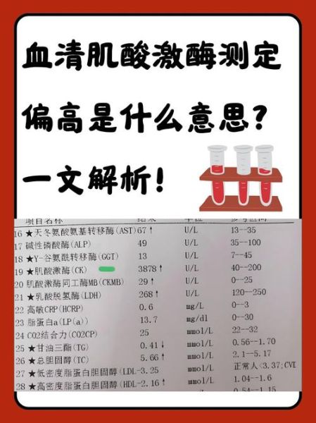 淀粉酶正常值范围是多少_血清淀粉酶偏高怎么办-第3张图片-山城妙识