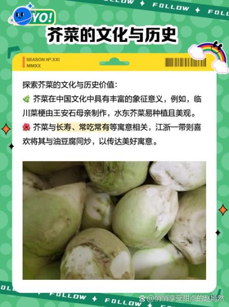 茎芥菜怎么种_茎芥菜营养价值-第1张图片-山城妙识