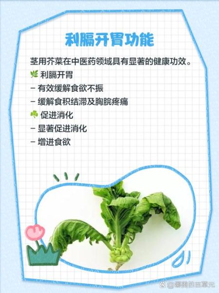 茎芥菜怎么种_茎芥菜营养价值-第2张图片-山城妙识