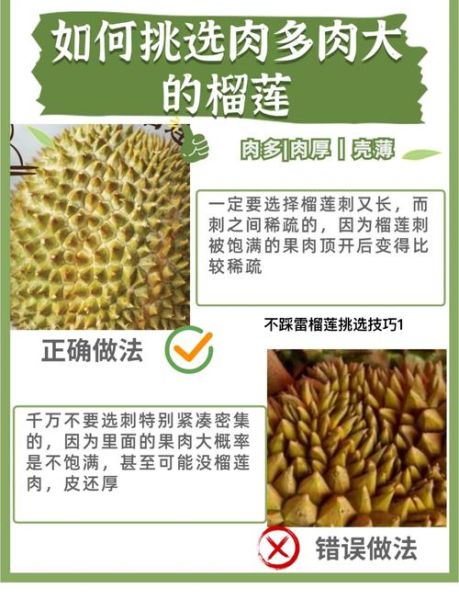 榴莲怎么挑选才肉多多_榴莲挑选技巧-第1张图片-山城妙识