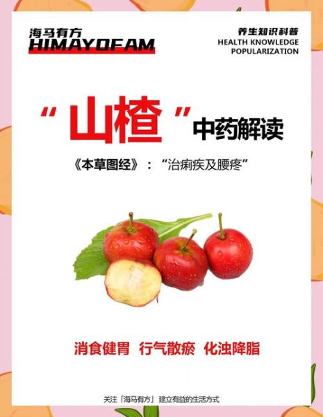 女人吃山楂有什么好处_山楂对女性的功效与作用-第1张图片-山城妙识 女人吃山楂有什么好处_山楂对女性的功效与作用-第1张图片-山城妙识
