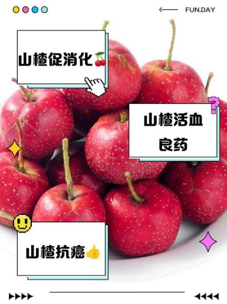 女人吃山楂有什么好处_山楂对女性的功效与作用-第3张图片-山城妙识 女人吃山楂有什么好处_山楂对女性的功效与作用-第3张图片-山城妙识