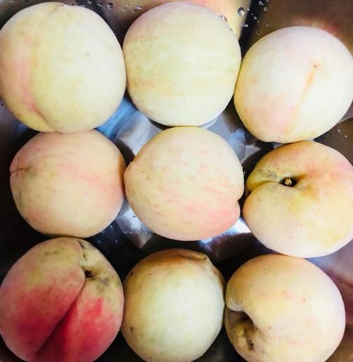 水蜜桃罐头怎么做_家庭自制详细步骤-第1张图片-山城妙识 水蜜桃罐头怎么做_家庭自制详细步骤-第1张图片-山城妙识