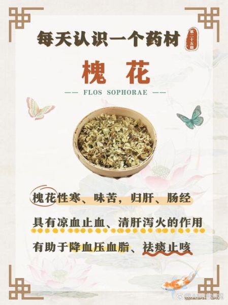 槐花泡茶有什么功效_槐花泡茶的作用与禁忌-第3张图片-山城妙识