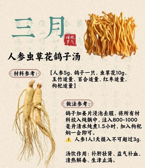 鸽子汤的功效与作用_孕妇可以喝鸽子汤吗-第1张图片-山城妙识