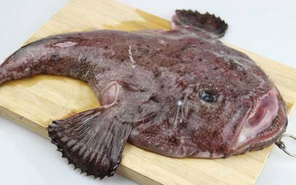 安康鱼好吃吗_安康鱼对人身体好吗-第1张图片-山城妙识