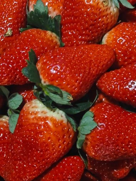 奶油草莓图片怎么拍_奶油草莓图片拍摄技巧-第3张图片-山城妙识