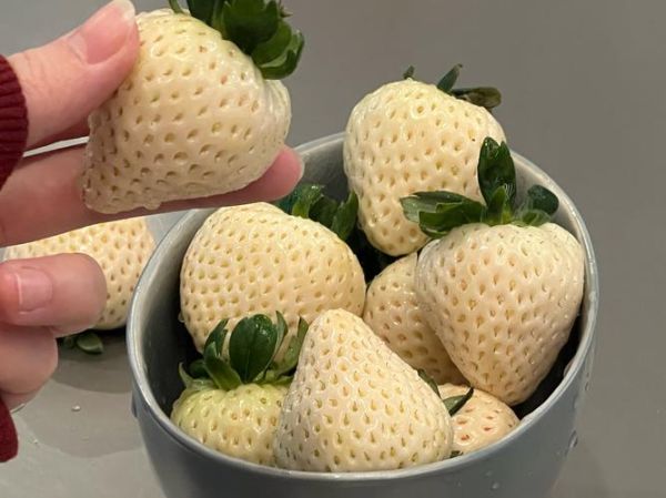 奶油草莓图片怎么拍_奶油草莓图片拍摄技巧-第2张图片-山城妙识